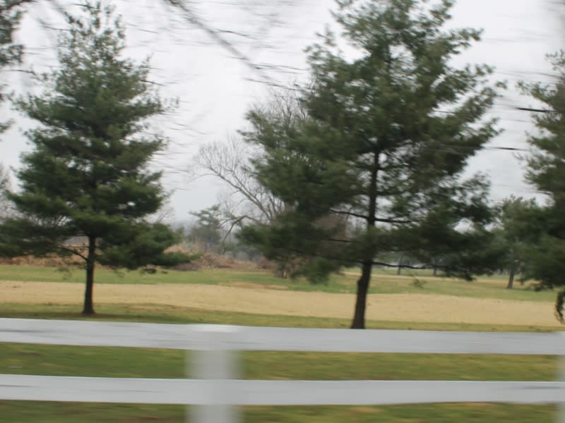 Gay Brewer, Jr. Course at Picadome - Lexington, KY - VisitLex