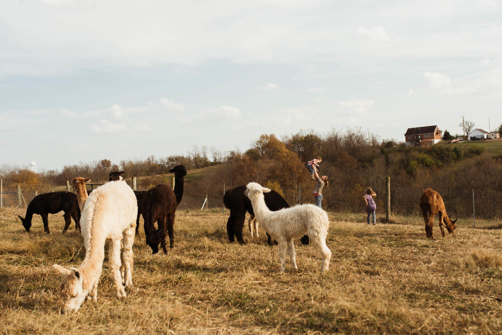 River Hill Ranch - Lexington, KY - VisitLex