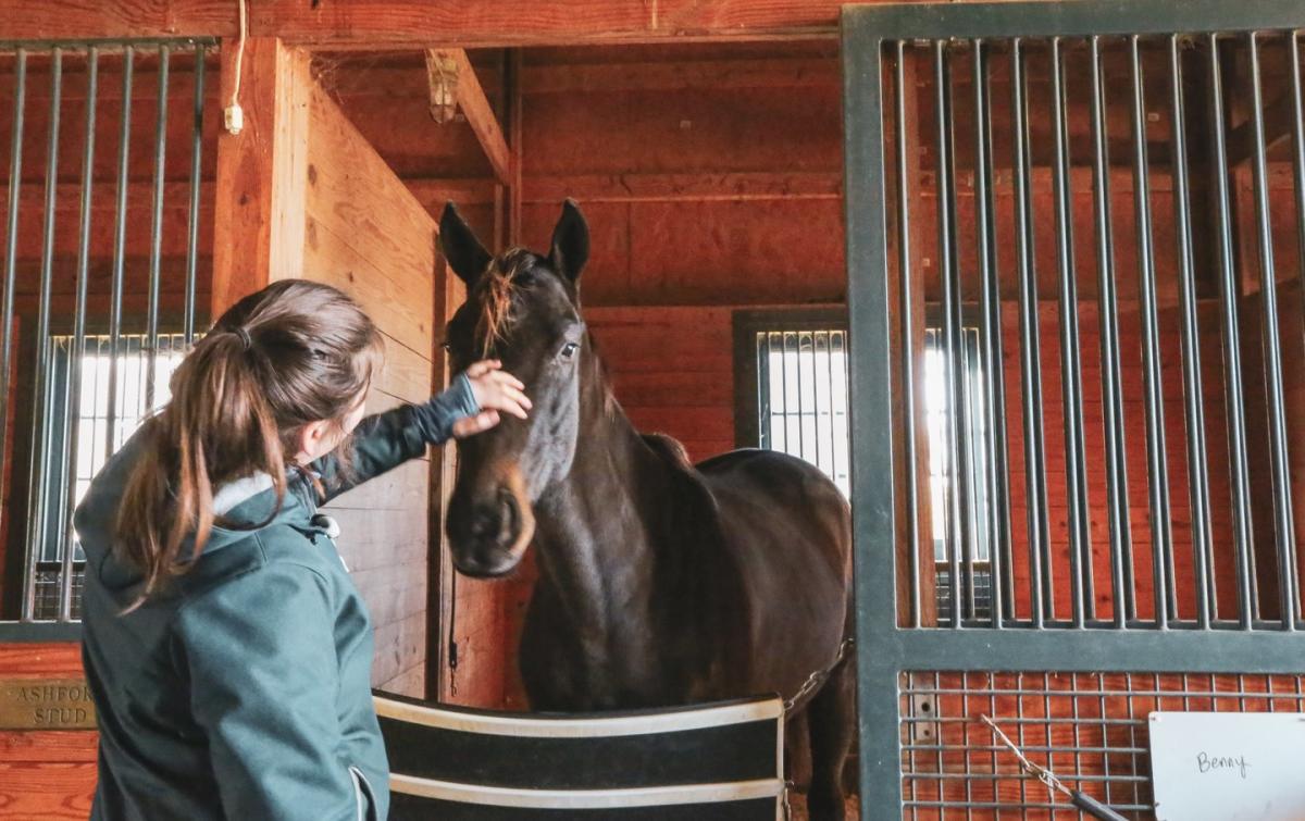 Secretariat Center - Lexington, KY - VisitLex