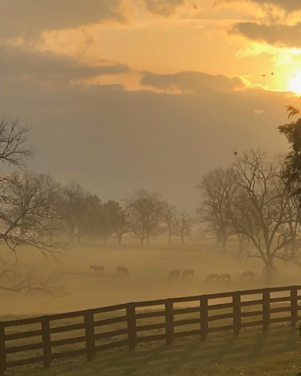 Three Chimneys - Lexington, KY - VisitLex