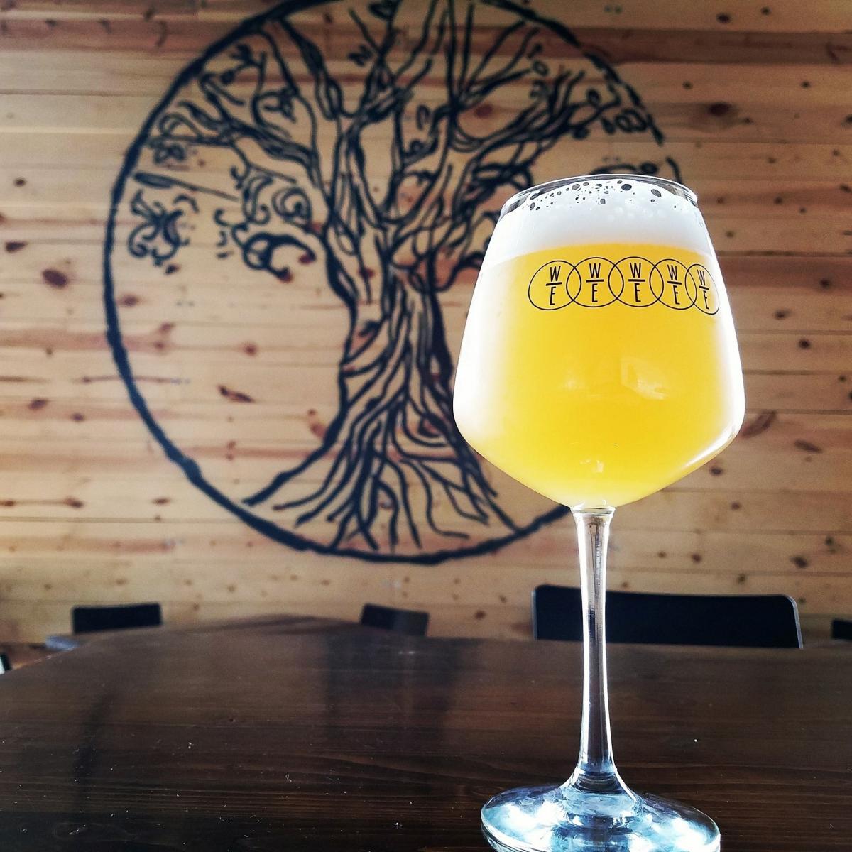 White Elm Brewing Co