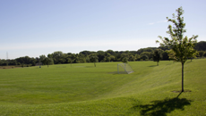 Spirit Park