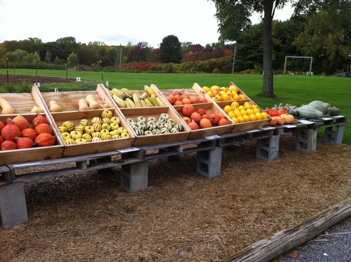 Olde Silo Farm Market