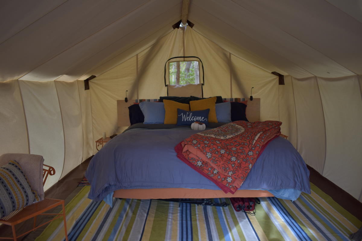 Forrest for the Trees Camp