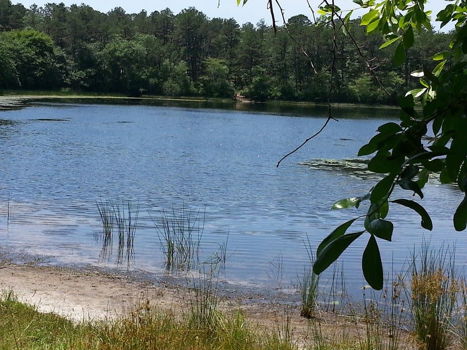 Sears Bellows County Park