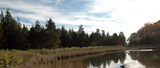 Target Rock National Wildlife Refuge