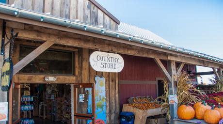 Temple Hall Farm Regional Park