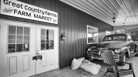 Great Country Farms