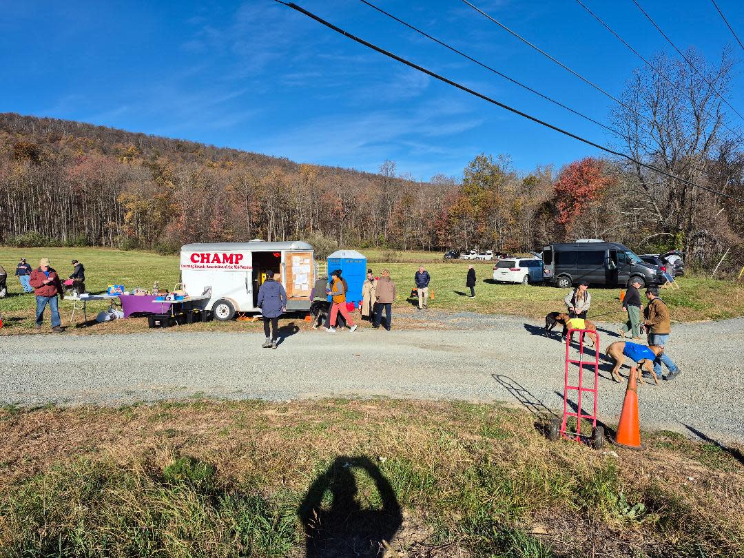 CHAMP Luring Dog Trials