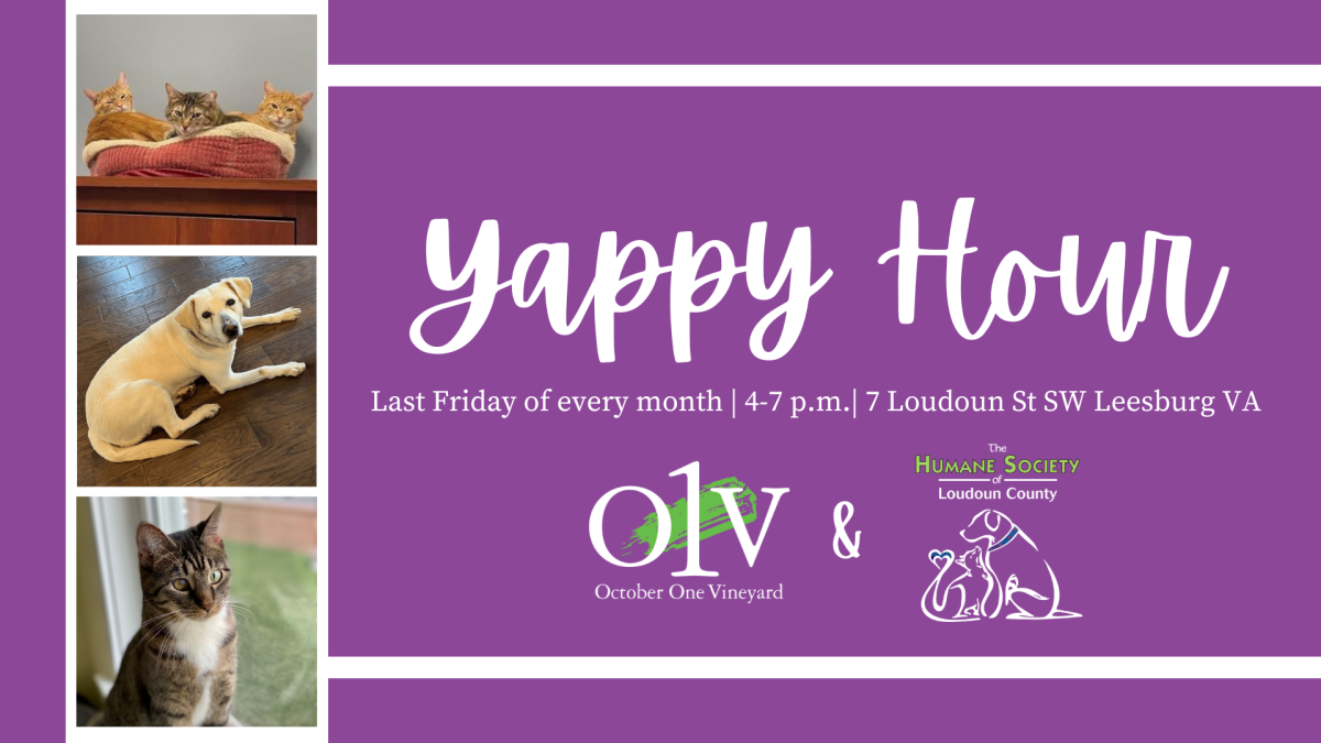 Yappy Hour