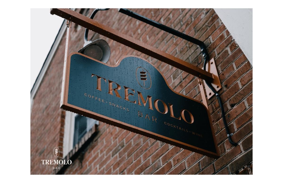 Tremolo Bar