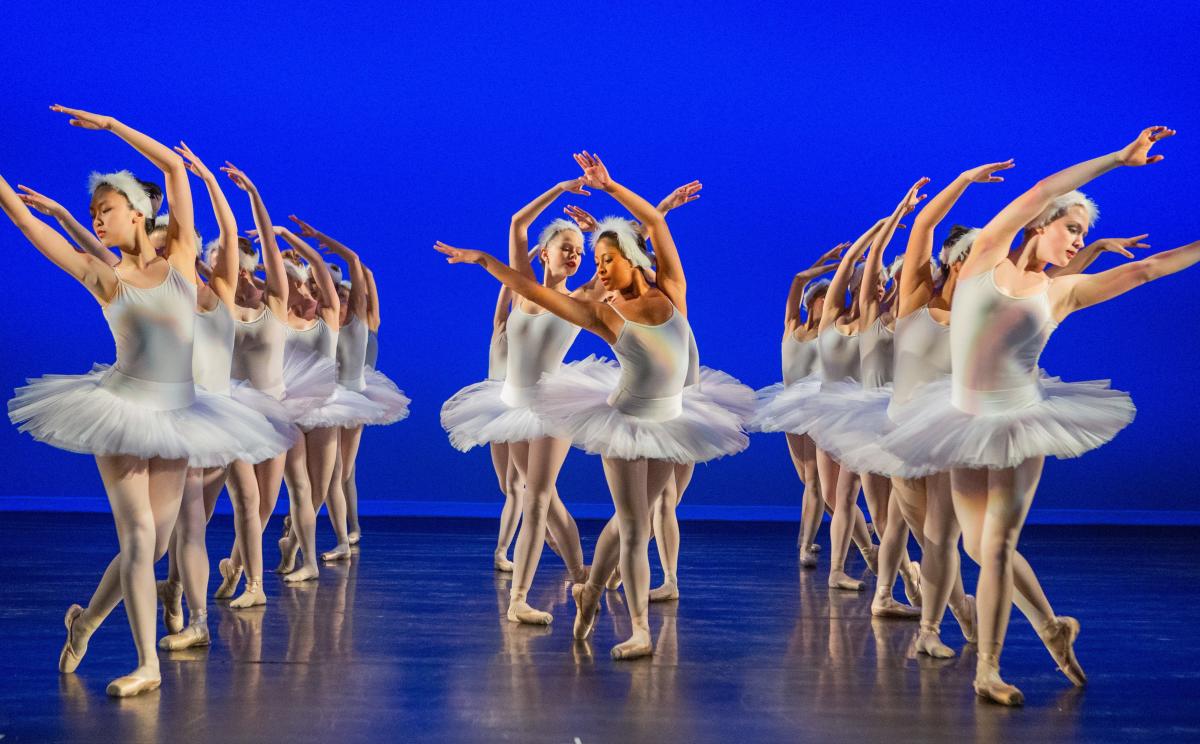 Central Midwest Ballet | Middleton, WI