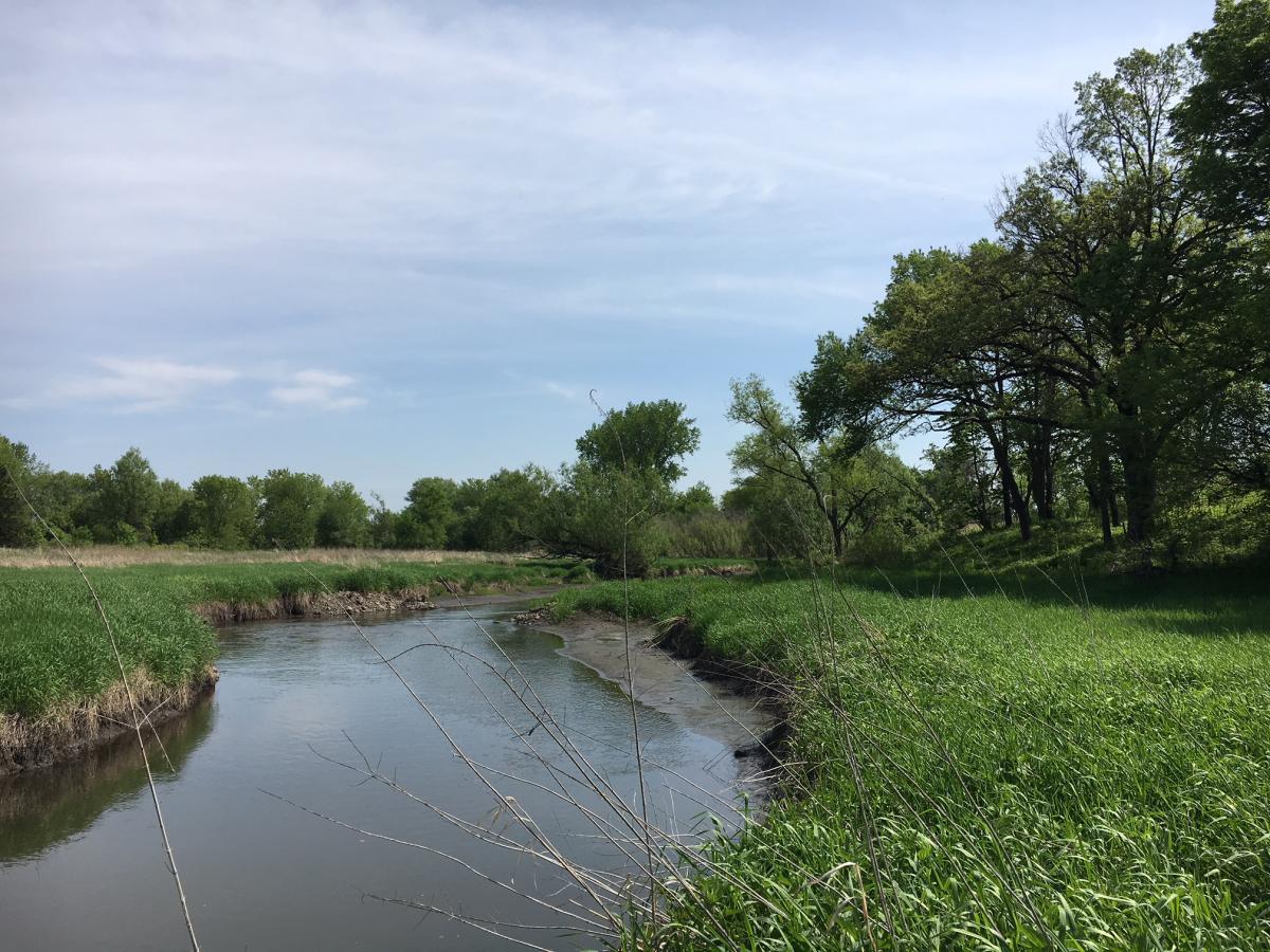 Cherokee Marsh - South Unit | Madison, WI