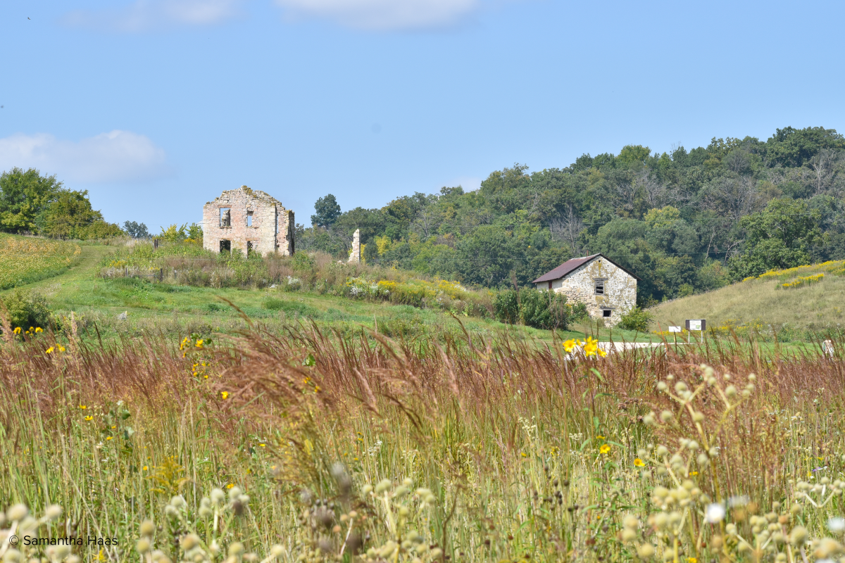 Halfway Prairie Wildlife Area | Dane, WI