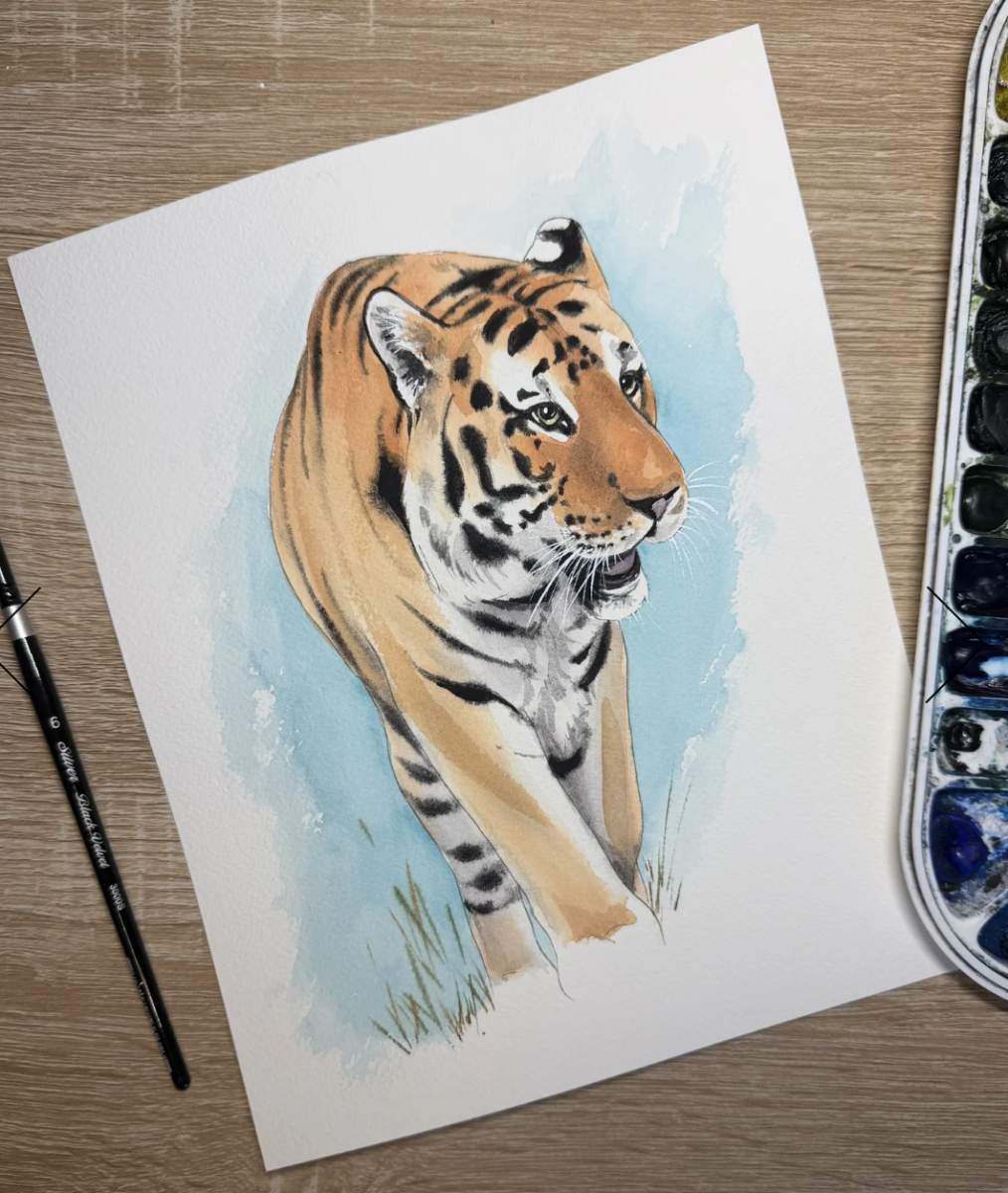Conservation Paint Night: Amur Tigers | Fitchburg, WI