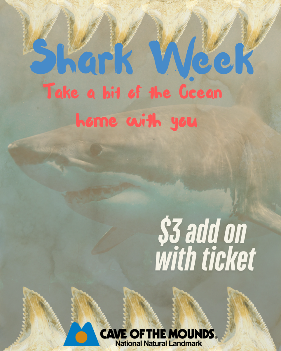 Shark Week | Blue Mounds, WI
