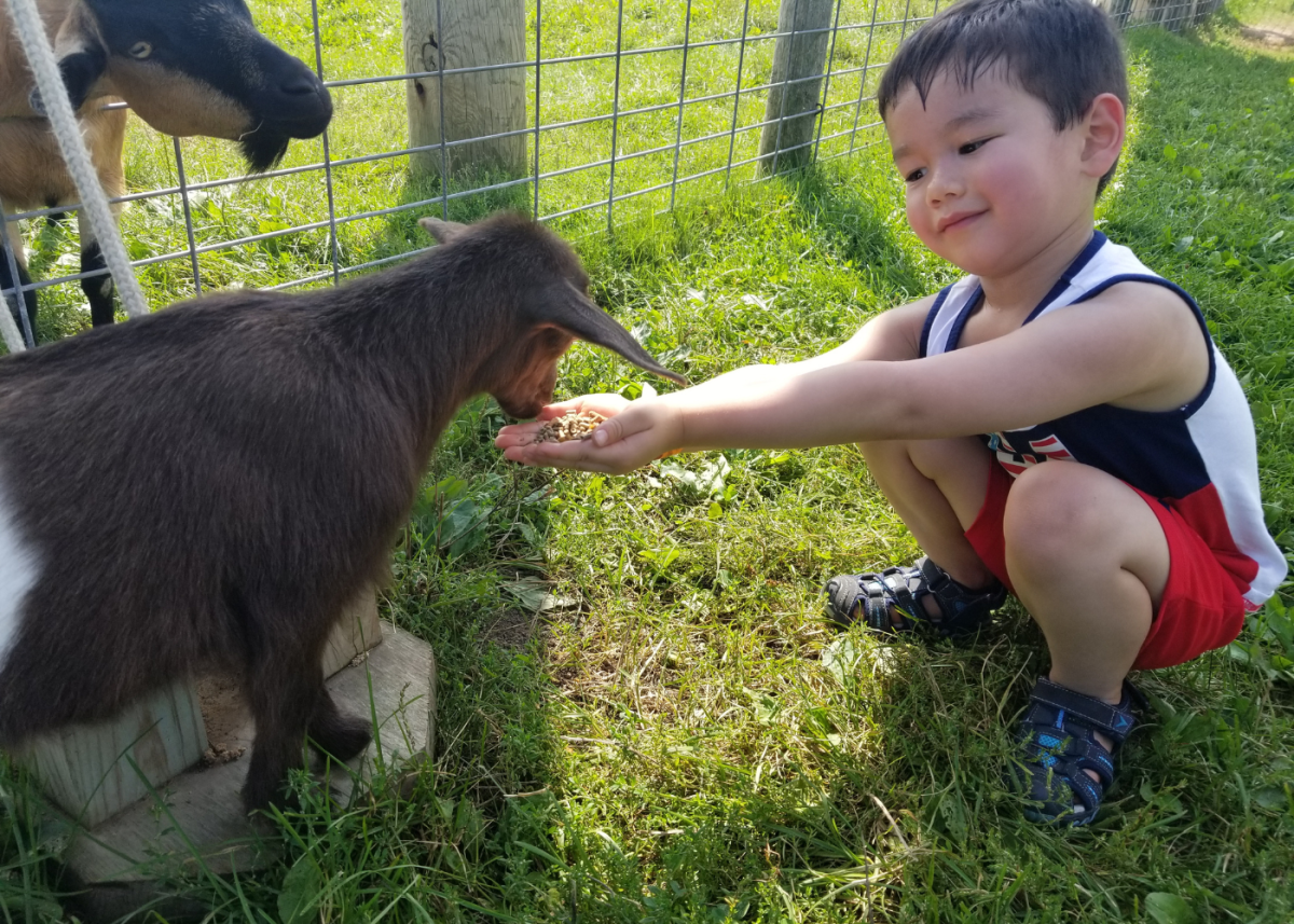 Schuster's Farm | Deerfield, WI