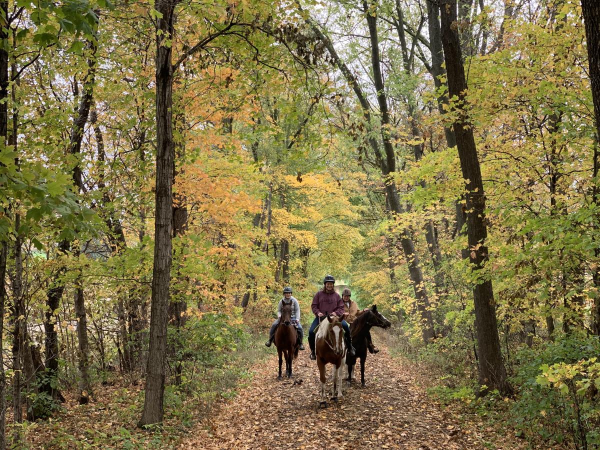 Wegmueller Farm | Monroe, WI