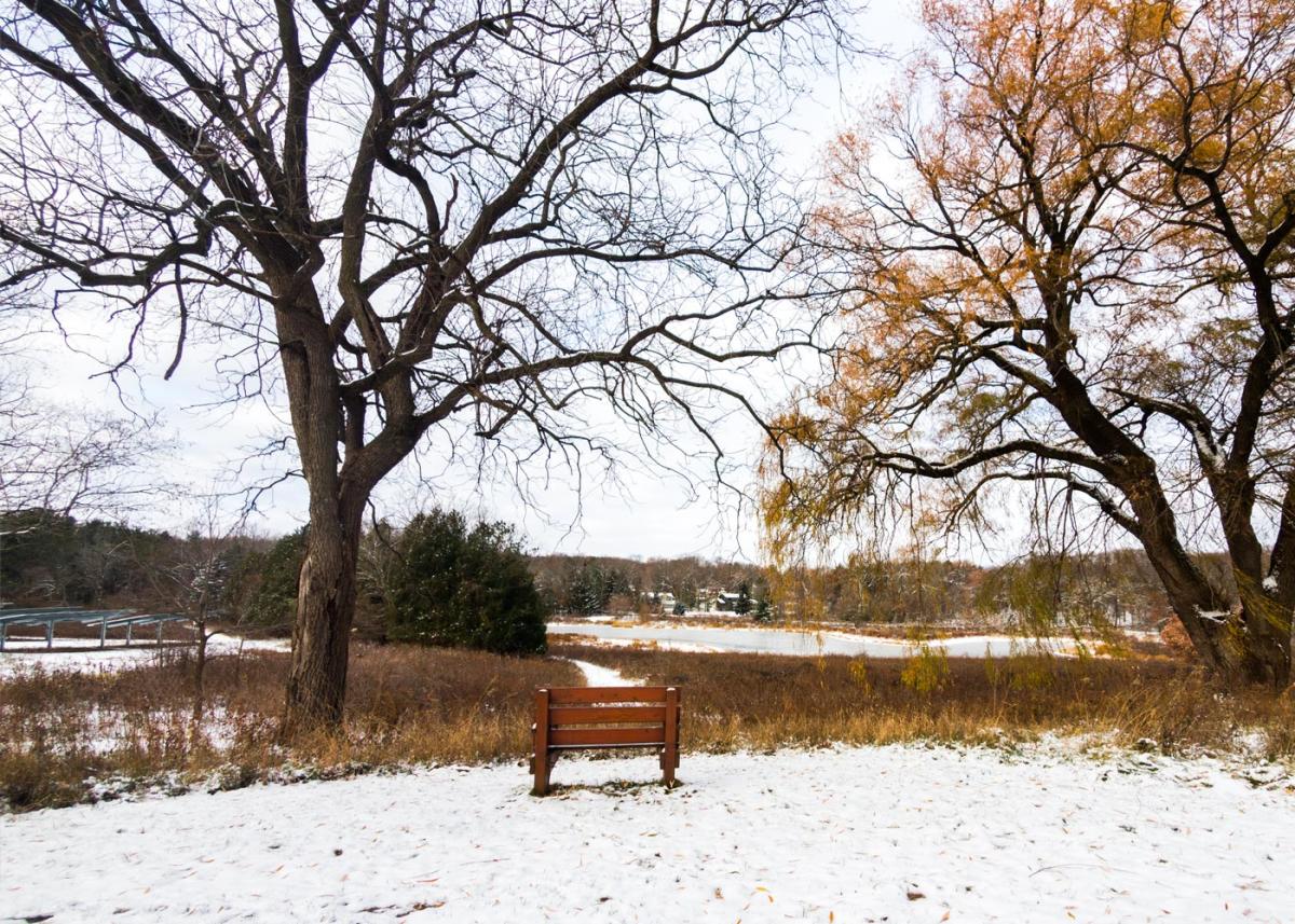 Wisdom Prairie Winter Tour | Middleton, WI