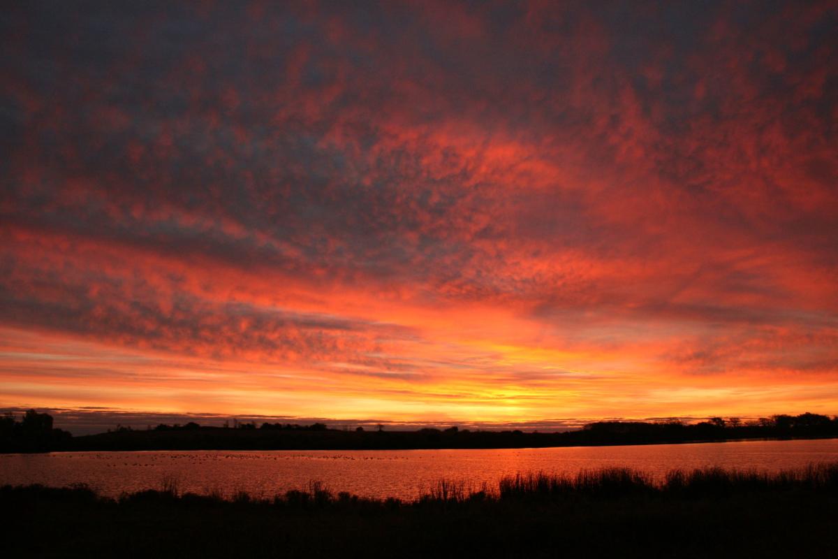 Patrick Marsh Wildlife Area | Sun Prairie, WI