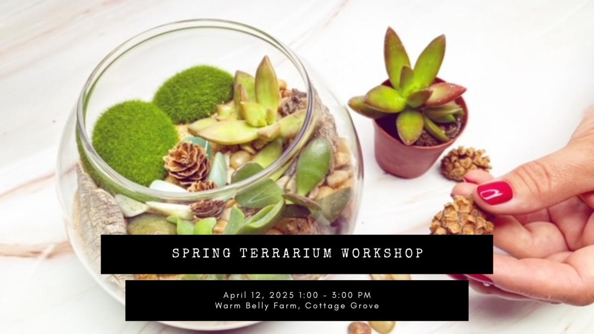 Spring Terrarium Class | Cottage Grove, WI