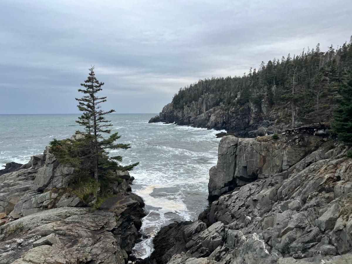 Quoddy Head State Park