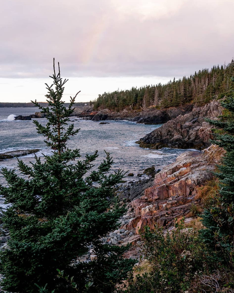 Quoddy Head State Park
