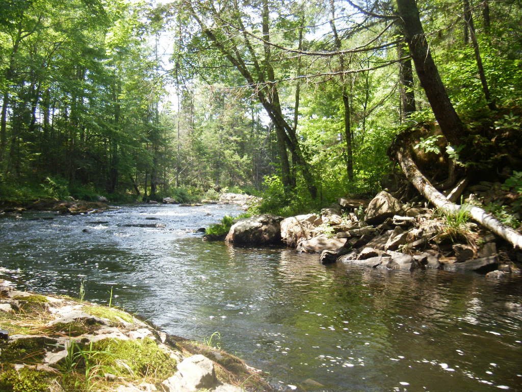 Ridge to River Trail