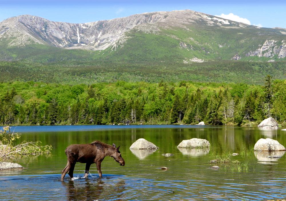 Sandy Stream Pond Trail, Baxter State Park