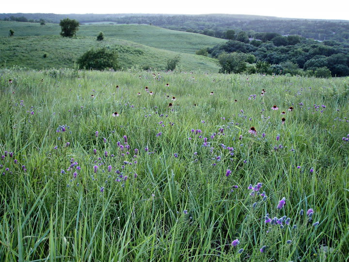 Prairiewood