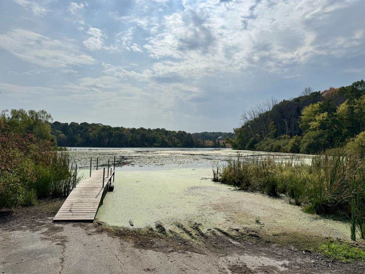 Hartlaub Lake