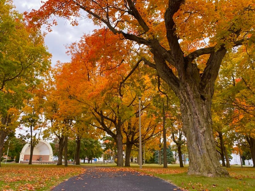 Manitowoc Parks & Recreation