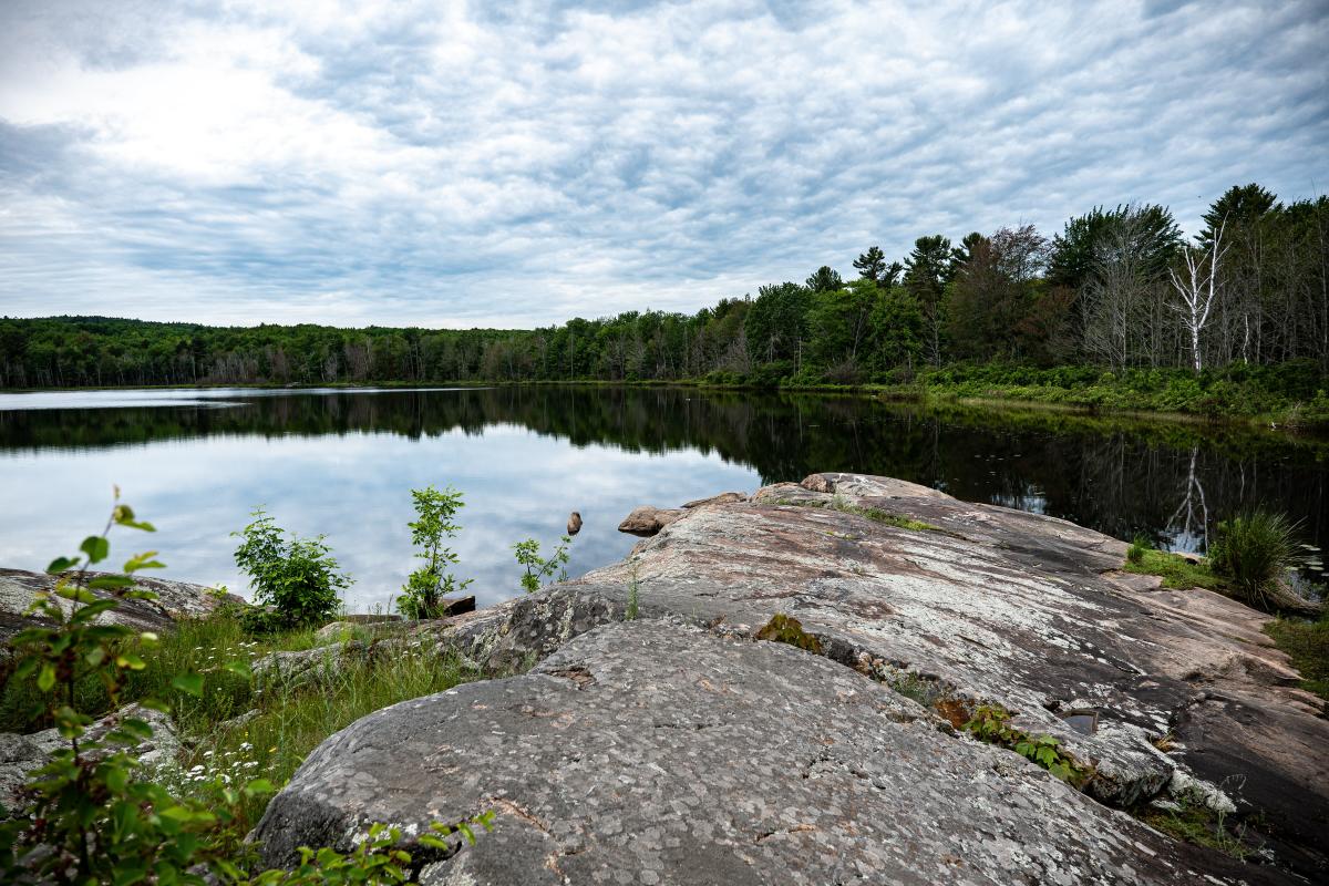 Harlow Lake