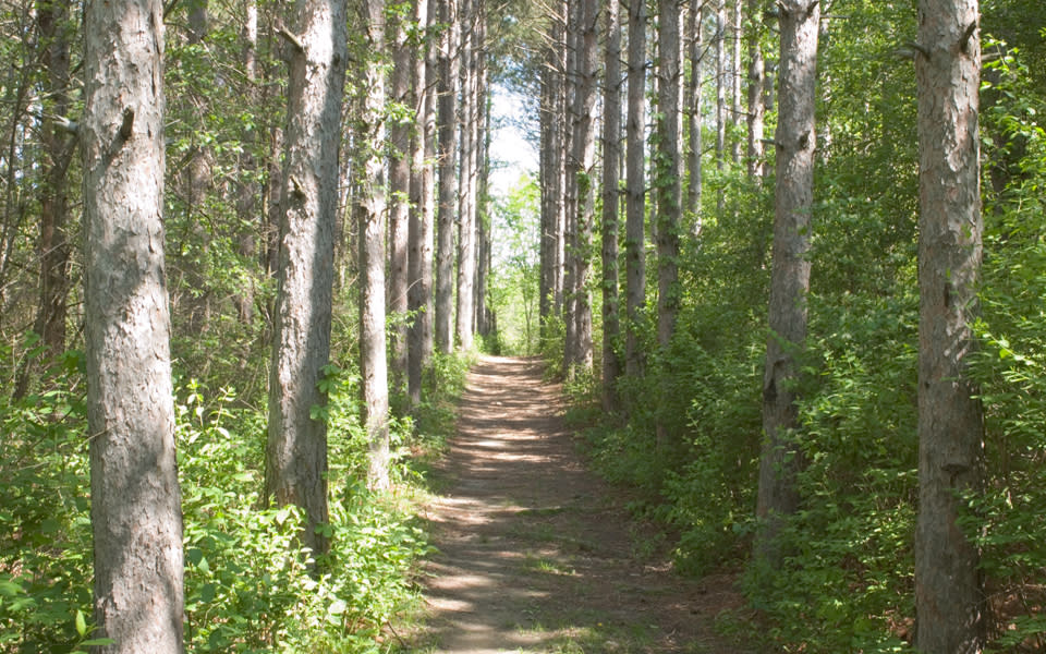 Marengo Ridge Conservation Area