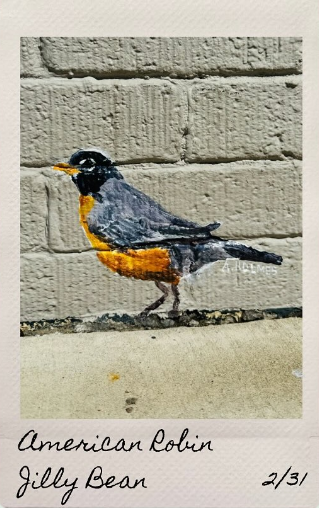 Jilly Bean Photography | McKinney, TX