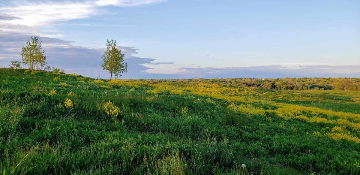 County Grounds Park | Wauwatosa, WI 53226