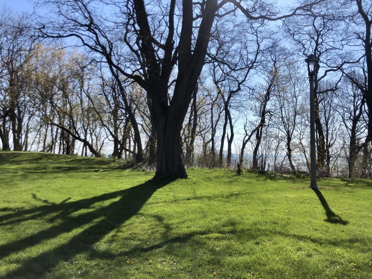 Back Bay Park | Milwaukee, WI 53202