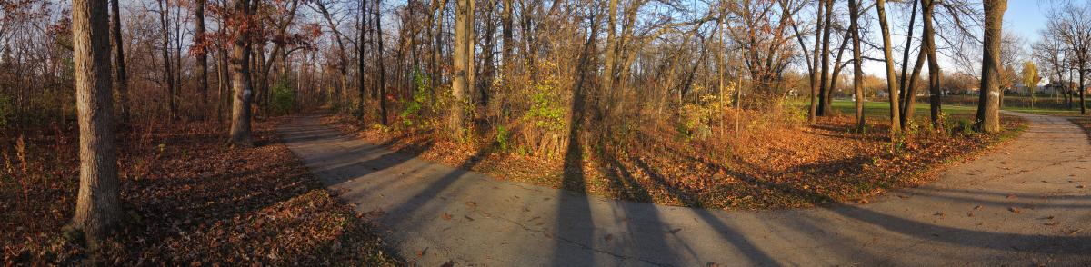 Lyons Park | Milwaukee, WI 53219