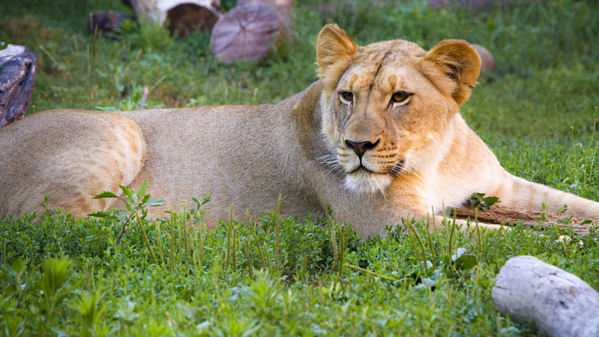 Racine Zoo | Racine, WI 53402