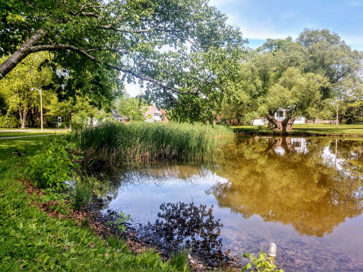 Saveland Park | Milwaukee, WI 53207