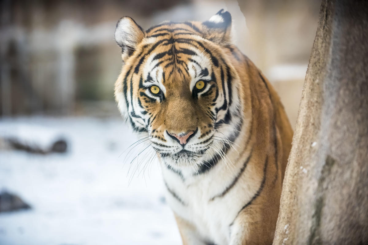 Milwaukee County Zoo | Milwaukee, WI 53226