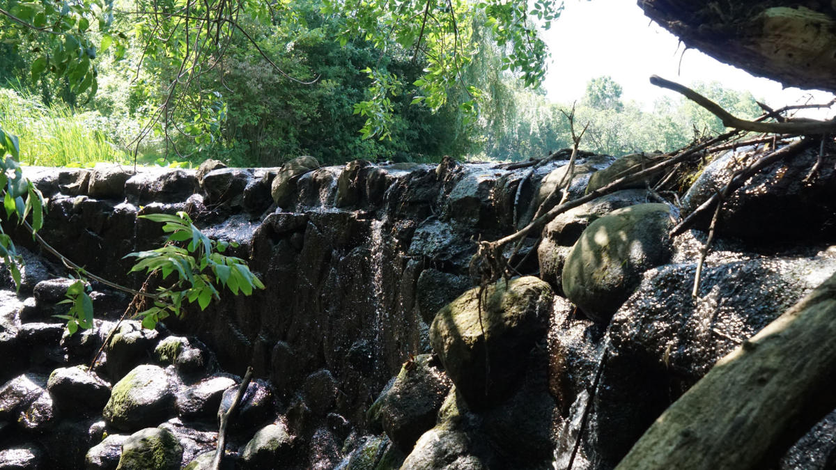 Whitnall Park | Hales Corners, WI 53130