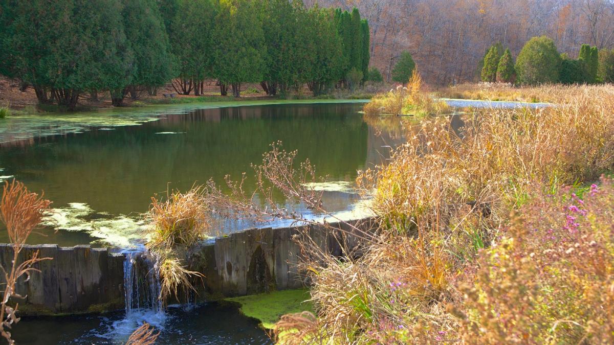 Minnesota Landscape Arboretum