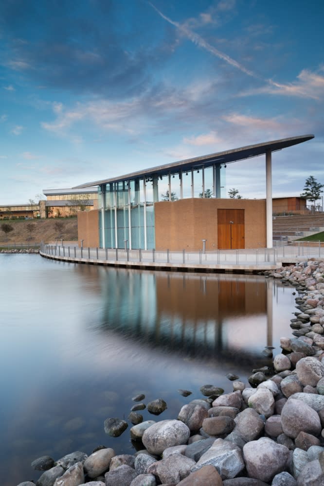 Town Green Maple Grove