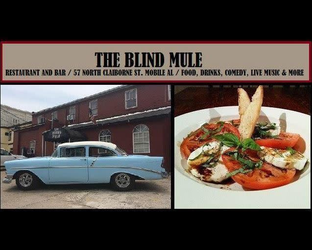 The Blind Mule