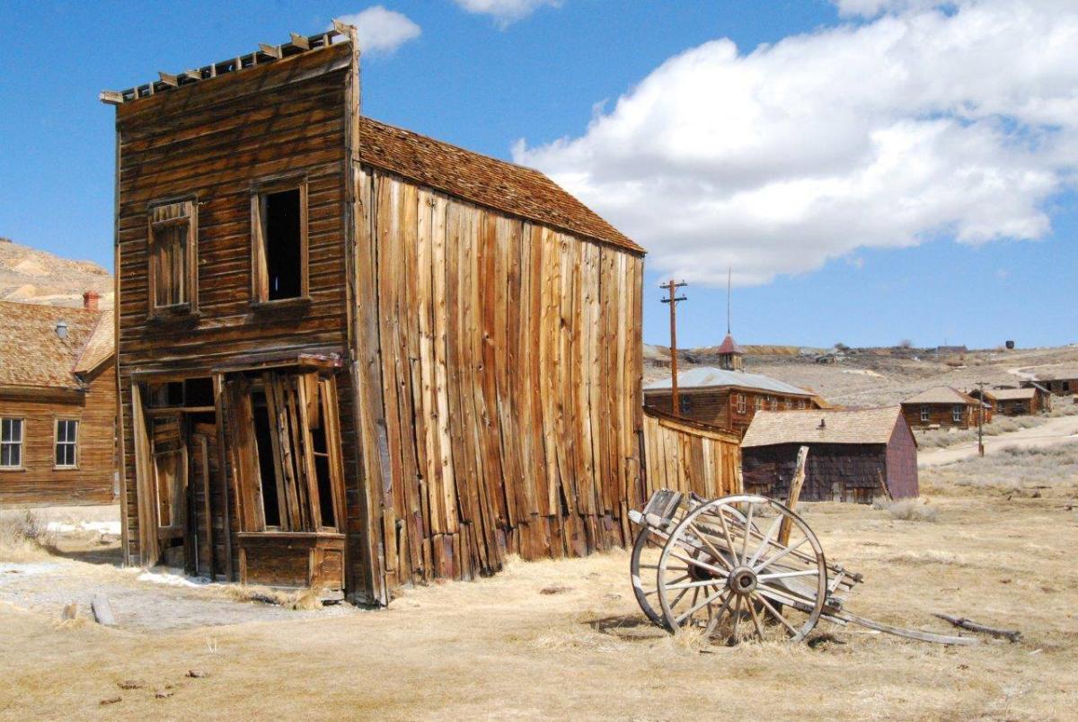 Friends of Bodie Day