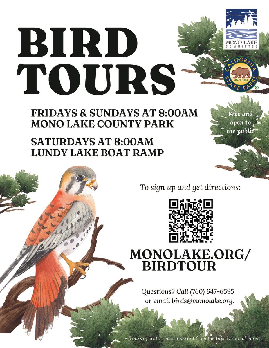 Mono Lake County Park Bird Tour
