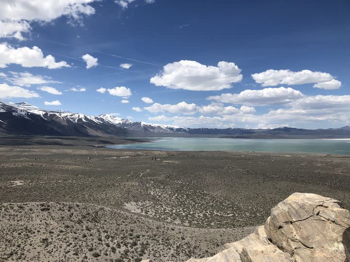 Panum Crater Geology Walks