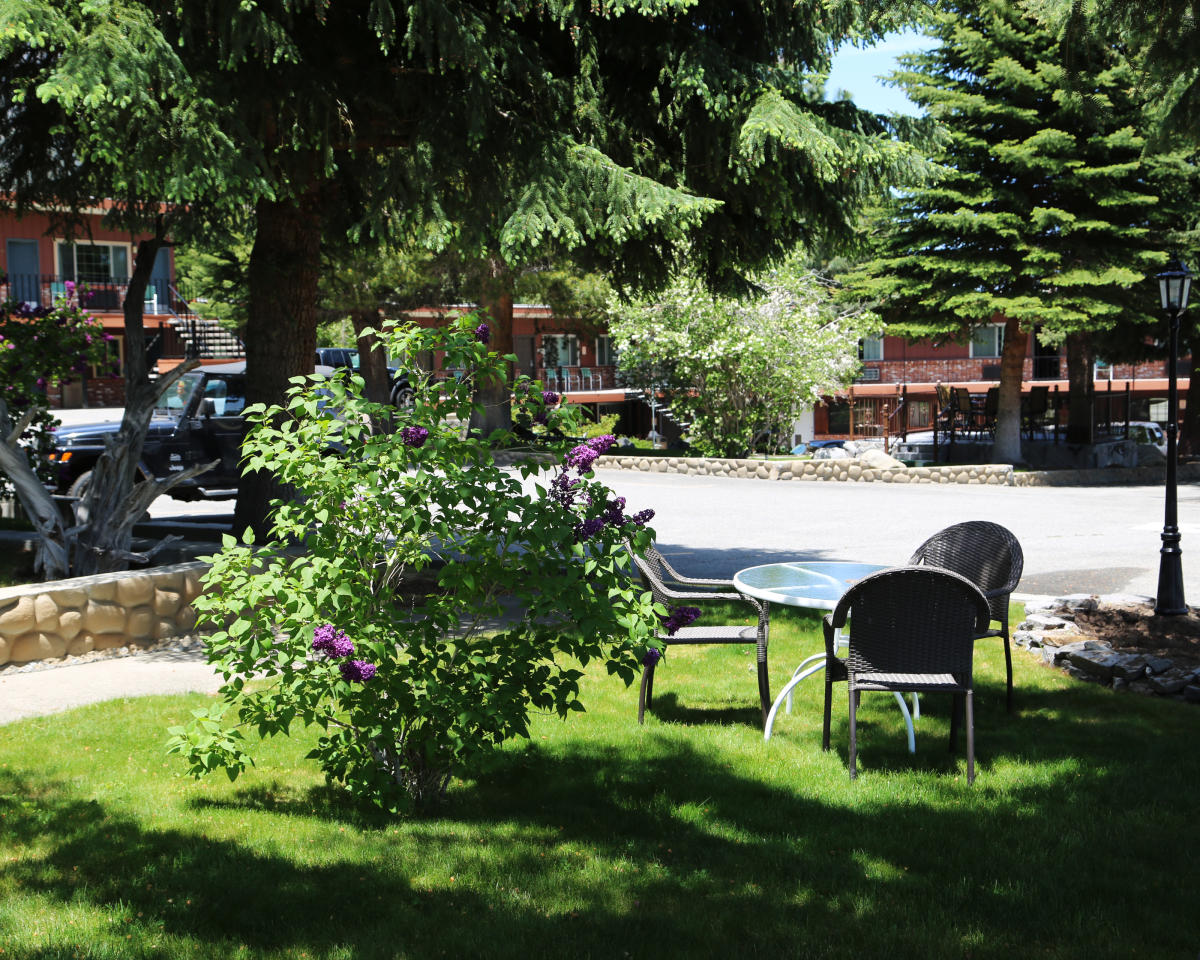 Lake View Lodge & Cottages