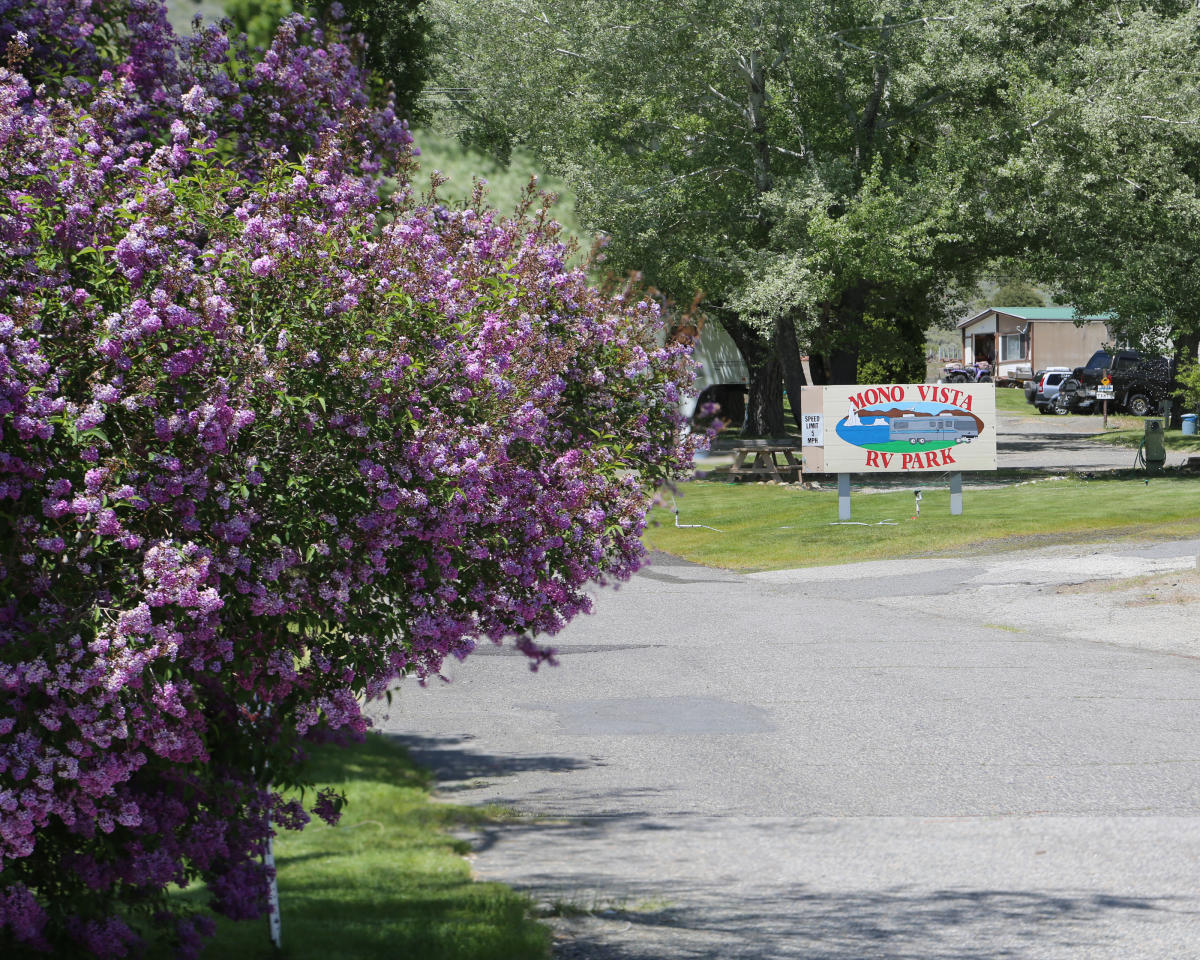Mono Vista RV Park